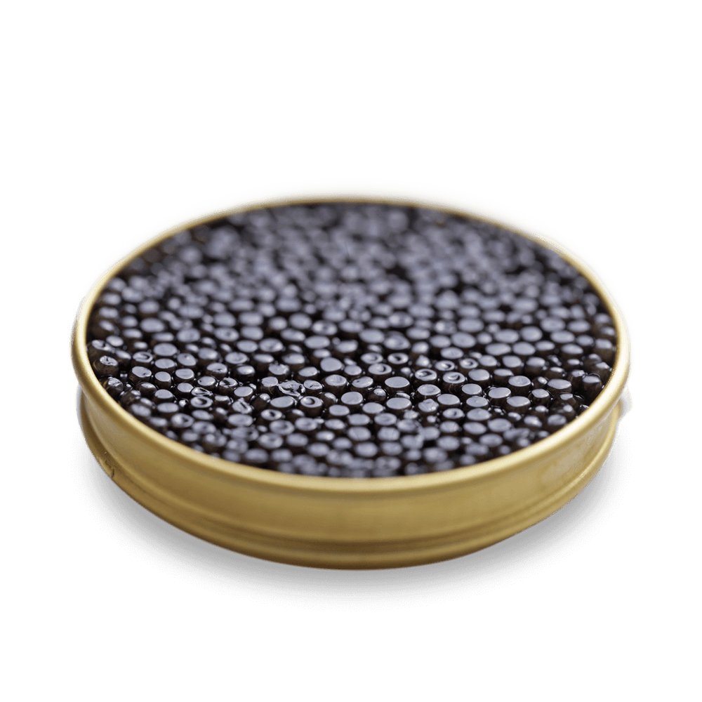 Caviar