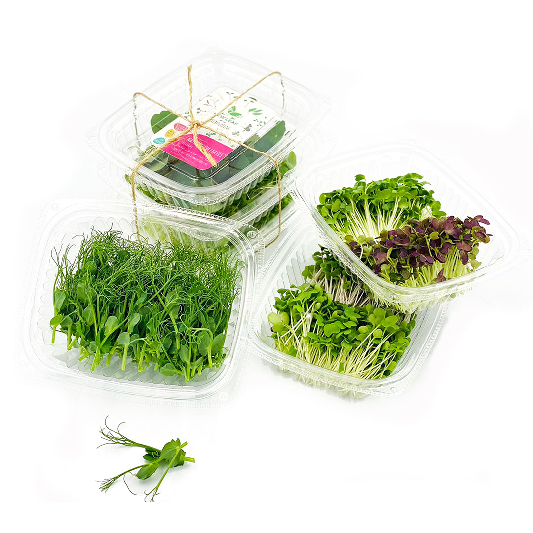 FRESH Microgreens, 3 Pcs